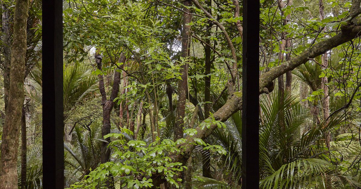 Biography | Colin Mccahon | McCahon House