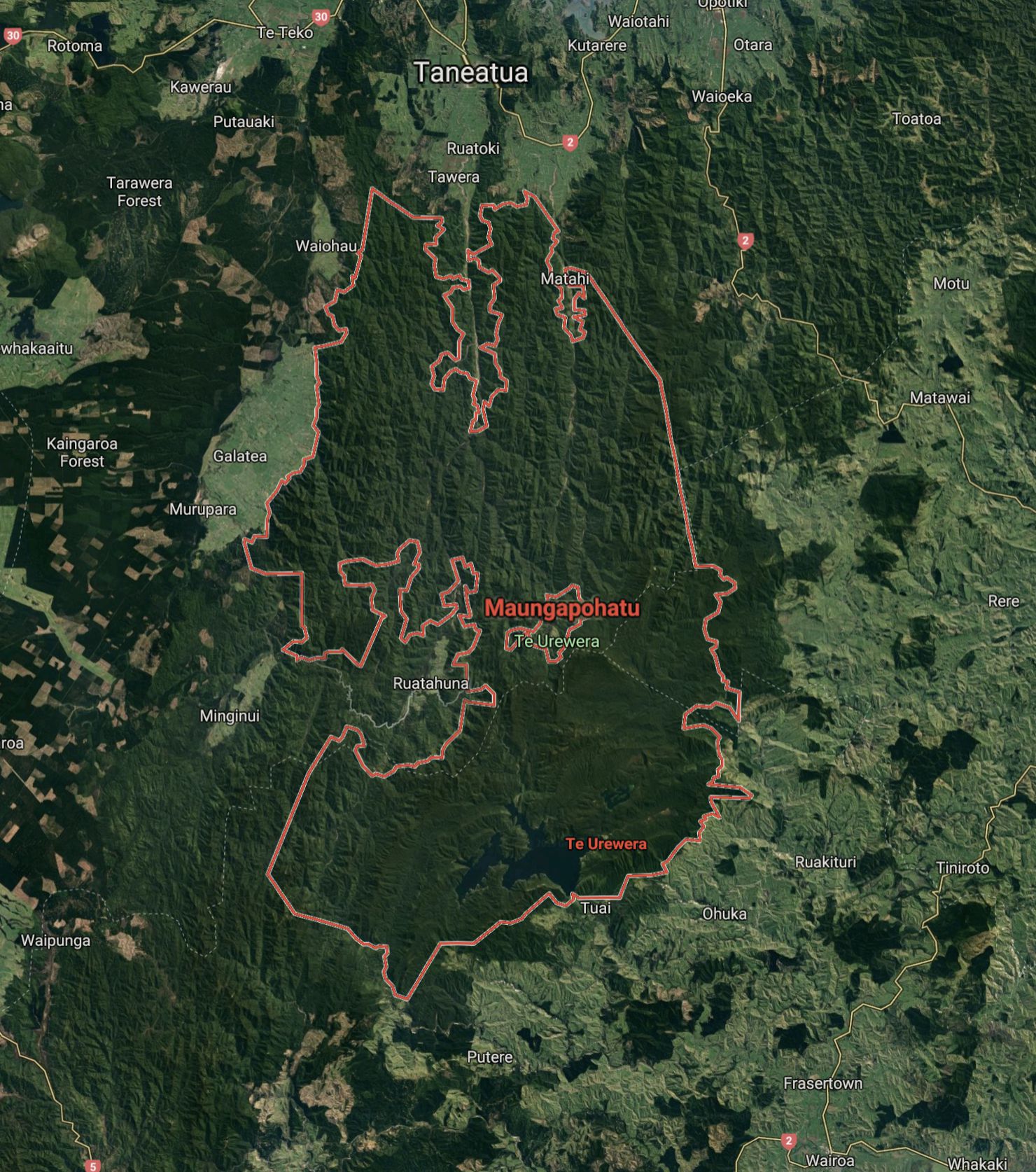 Urewera mural | Colin McCahon 100