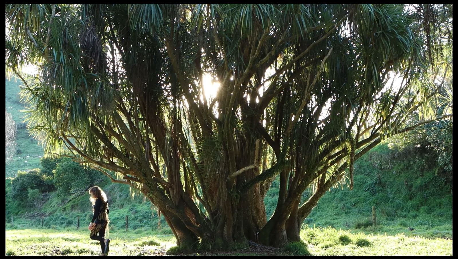 McCahon House X Space for Contemporary Art Exchange | McCahon House